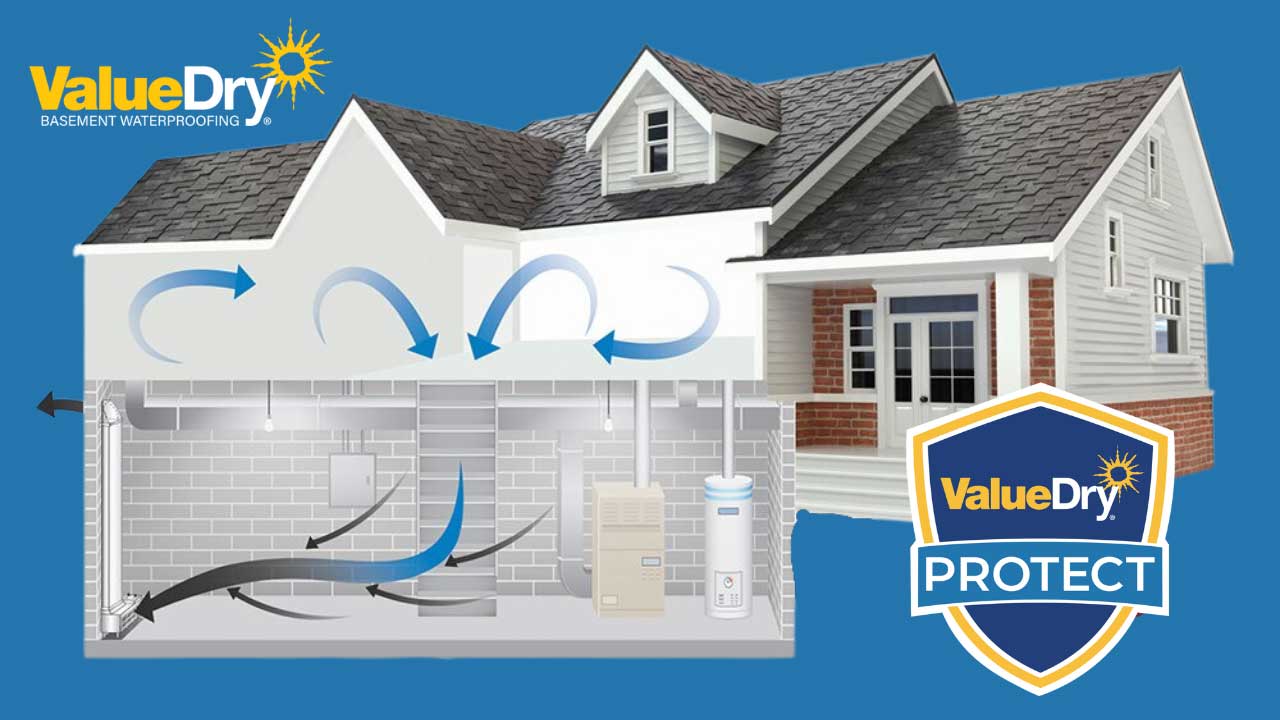 Exploring the Pros and Cons of Crawl Space Vent Fans - Value Dry ...