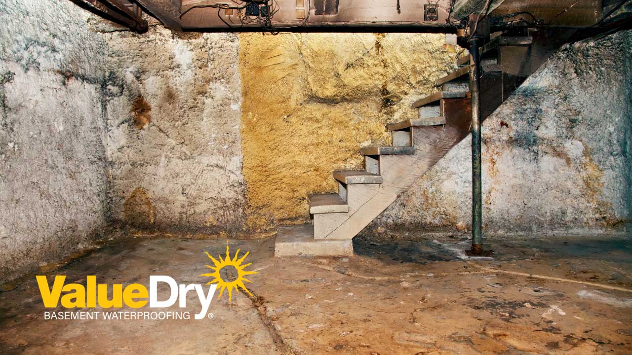 Does Basement Waterproofing Increase Home Value? - Value Dry Waterproofing